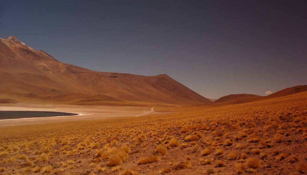 Mastering Wilderness Survival Skills for Hunters: Be Prepared for Any ...